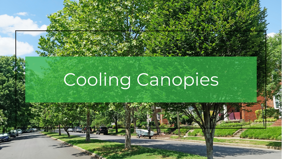 Cooling Canopies – Johnson Clean Energy District